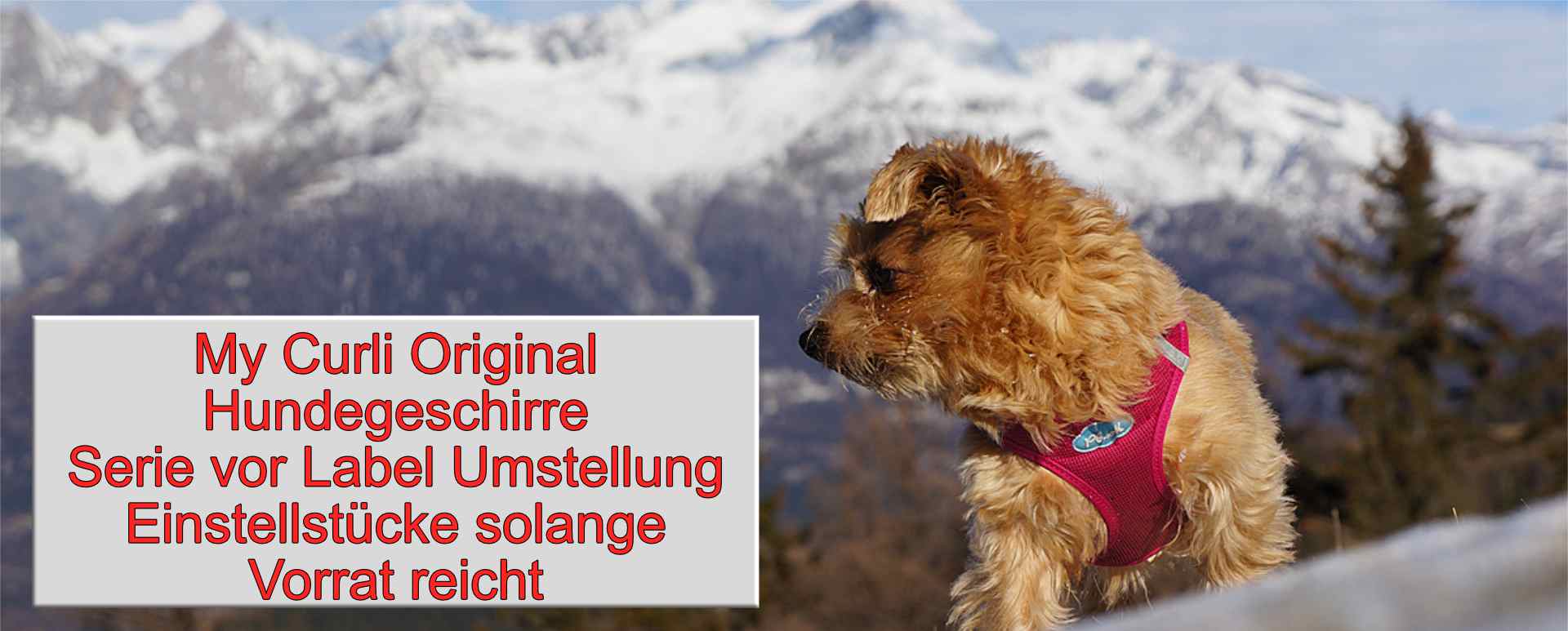 My Curli Plush Brustgeschirr für kleine und Mittlere Hunde